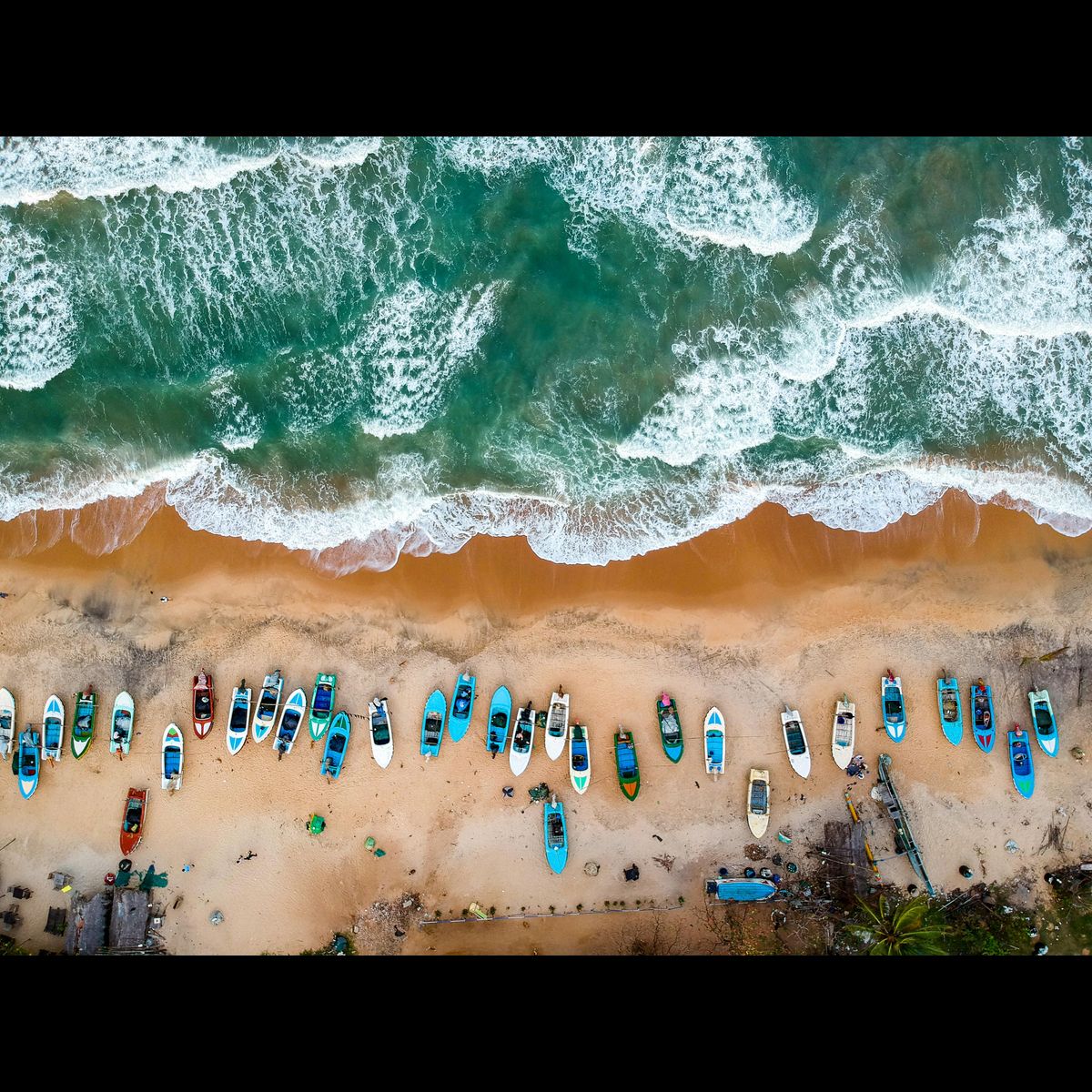 Climate Non-Profit Annual Report